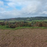 Kinver Edge, Worcestershire, England - 68 Reviews, Map | AllTrails