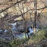 Laurel River Trail, North Carolina - 1,310 Reviews, Map | AllTrails