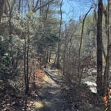 Laurel River Trail, North Carolina - 1,310 Reviews, Map | AllTrails
