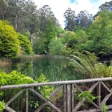 Dandenong Ranges Botanic Gardens Walk, Victoria, Australia - 54 Reviews ...