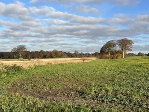 10 Best Trails and Hikes in Liverpool | AllTrails