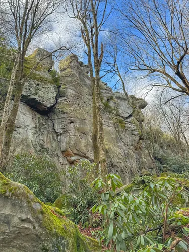 Best Views Trails in Laurel Ridge State Park | AllTrails