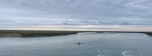 Best Hikes and Trails in Cape Romain National Wildlife Refuge | AllTrails
