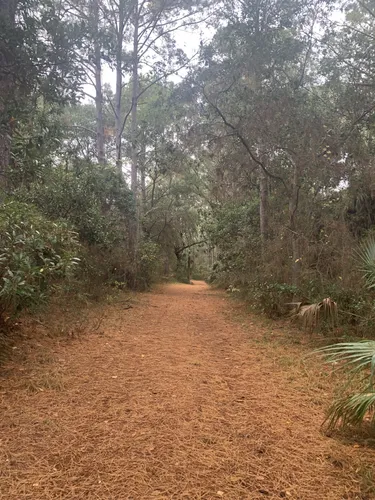 Best Hikes and Trails in Cape Romain National Wildlife Refuge | AllTrails