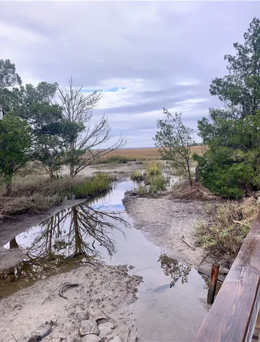 Best Hikes and Trails in Cape Romain National Wildlife Refuge | AllTrails