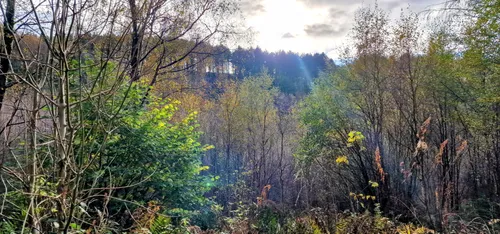 Best Hikes and Trails in Gibside | AllTrails