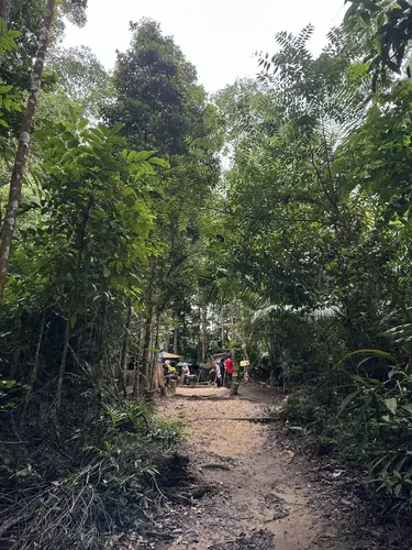 Best Hikes and Trails in Hutan Rizab Telok Murok | AllTrails