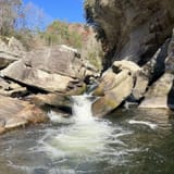 Spence Ridge Trail, North Carolina - 321 Reviews, Map | AllTrails