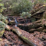 Spence Ridge Trail, North Carolina - 321 Reviews, Map | AllTrails
