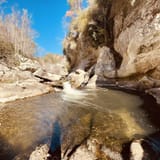 Spence Ridge Trail, North Carolina - 278 Reviews, Map | AllTrails