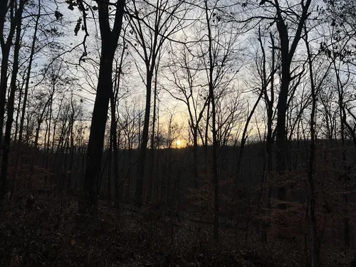 Best Hikes and Trails in Paynetown State Recreation Area | AllTrails