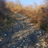 Fort Hunter Conservancy Walk, Pennsylvania - 585 Reviews, Map | AllTrails