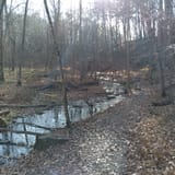 Stephens Falls and Lost Canyon Short Loop, Wisconsin - 433 Reviews, Map ...