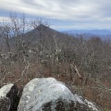 Flat Top Mountain via Flat Top Trail, Virginia - 465 Reviews, Map ...