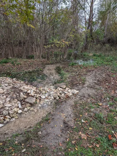 Best Hikes and Trails in Berry Springs County Park | AllTrails