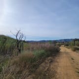 Trippet Ranch to Eagle Springs Loop Trail, California - 819 Reviews ...