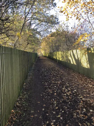 Best Hikes and Trails in Brierley Forest Park | AllTrails