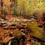 See Spring Trail, Arizona - 641 Reviews, Map | AllTrails