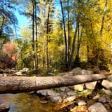 See Spring Trail, Arizona - 641 Reviews, Map | AllTrails