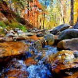 See Spring Trail, Arizona - 641 Reviews, Map | AllTrails