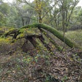 Santos and Vortex Area Bike Trails Loop, Florida - 701 Reviews, Map ...