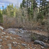 Jones Creek Loop, Nevada - 1,163 Reviews, Map | AllTrails