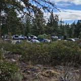 Jones Creek Loop, Nevada - 1,163 Reviews, Map | AllTrails