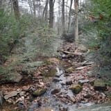 Pulpit Rock and Pinnacle Loop, Pennsylvania - 3,386 Reviews, Map ...