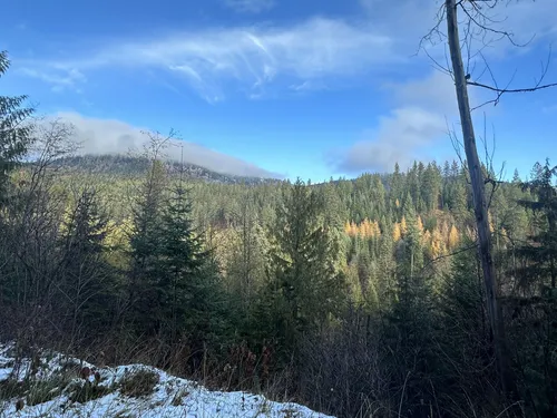 Best River Trails in Rathdrum | AllTrails Best River Trails in Rathdrum | AllTrails