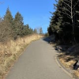 Mount Buckley via Clingmans Dome Bypass Trail, North Carolina - 886 ...