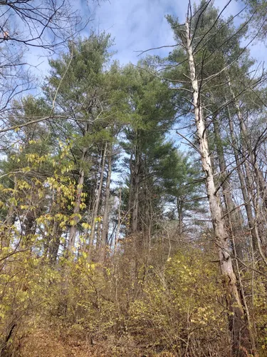 Best Hikes and Trails in Governor Bebb MetroPark | AllTrails