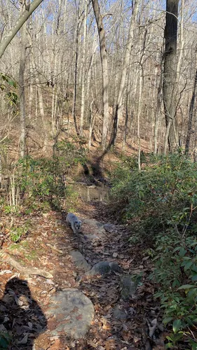 2023 Best Wildlife Trails in Hunt Valley | AllTrails