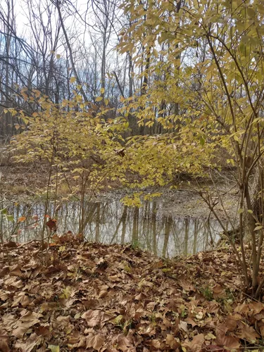 Best Hikes and Trails in Governor Bebb MetroPark | AllTrails