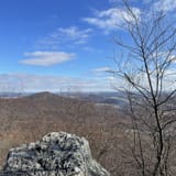 Pulpit Rock, Pennsylvania - 2,245 Reviews, Map | AllTrails
