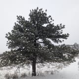 Turret Trail, Colorado - 421 Reviews, Map | AllTrails