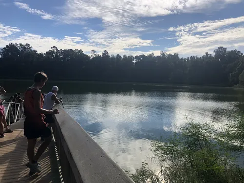 Best Hikes and Trails in Apalachee Regional Park | AllTrails