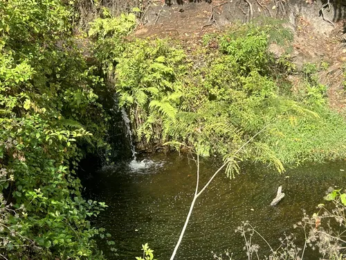 Best 10 Hiking Trails in Bulls Bay Preserve | AllTrails