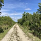 Marsh Trail, Florida - 276 Reviews, Map | AllTrails
