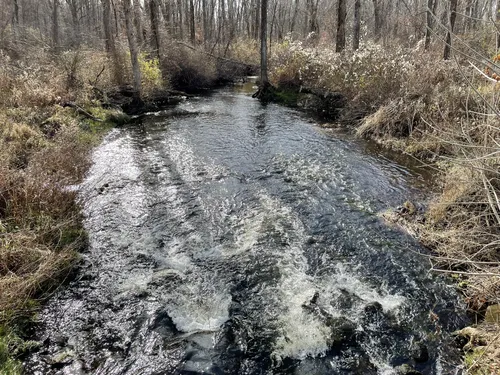 Best Hikes and Trails in Lewis Farm Bird Sanctuary | AllTrails