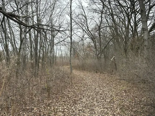 2023 Best Camping Trails in Kettle Moraine State Forest Southern Unit ...