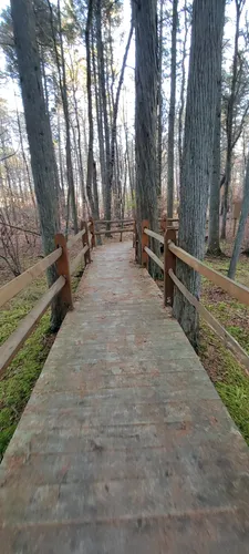 Best Lake Trails in Galloway Township | AllTrails