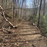 Gee Creek Falls Trail, Tennessee - 758 Reviews, Map | AllTrails