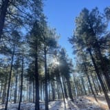 Mars Hill Trail Loop, Arizona - 1,442 Reviews, Map | AllTrails