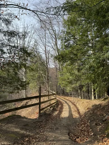 Best Hikes and Trails in Esopus Bend Nature Preserve | AllTrails