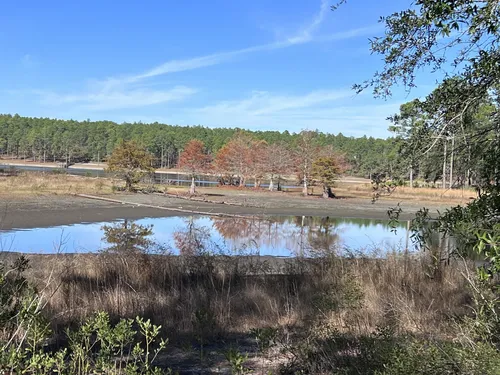 Best Hikes and Trails in Open Pond Recreation Area | AllTrails