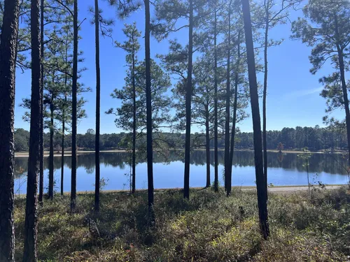 Best Hikes and Trails in Open Pond Recreation Area | AllTrails