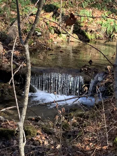 Best Walking Trails in Roaring Run Natural Area | AllTrails