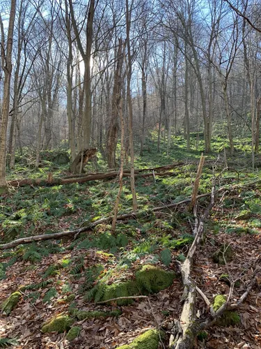 2023 Best Long Trails in Roaring Run Natural Area | AllTrails