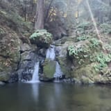Cataract Falls Trail, California - 3,290 Reviews, Map | AllTrails