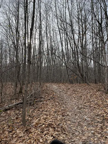 Best Hikes and Trails in Ridge Run County Park | AllTrails